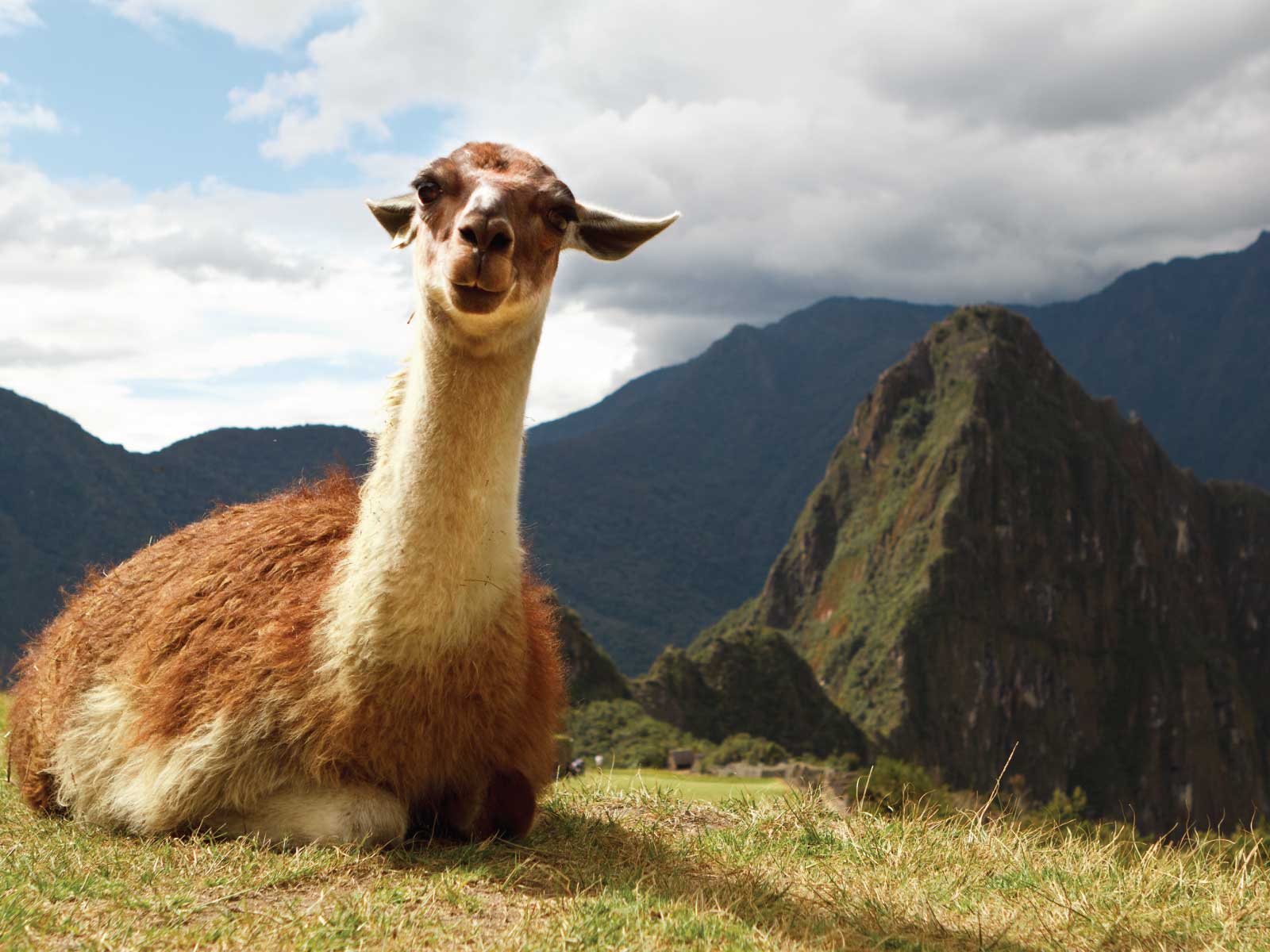 Machupicchu Full Day | Peruvian Path